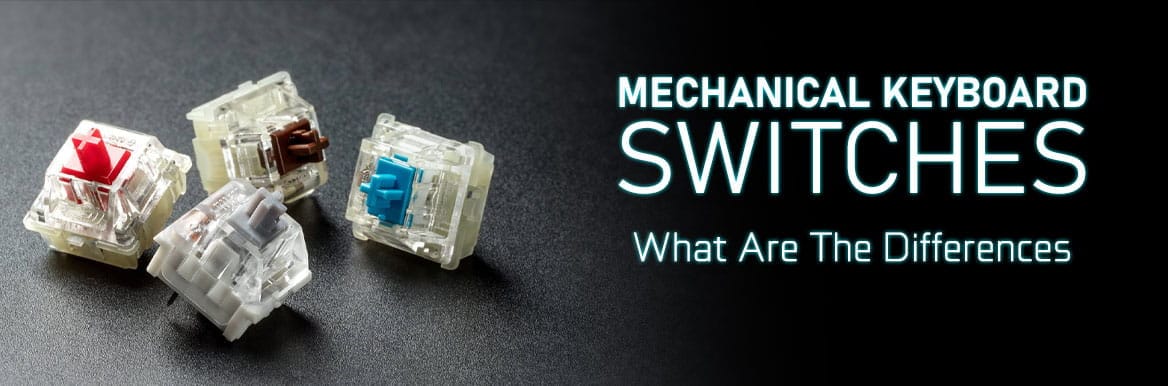Mechanical Keyboard Switches: Gaming vs Typing